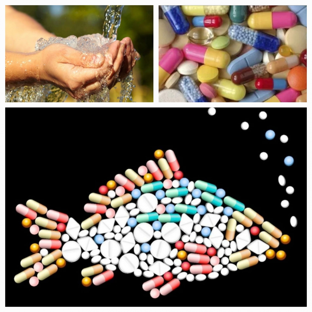 Il destino dei farmaci nella nostra vita . – Ordine dei Medici di Trento